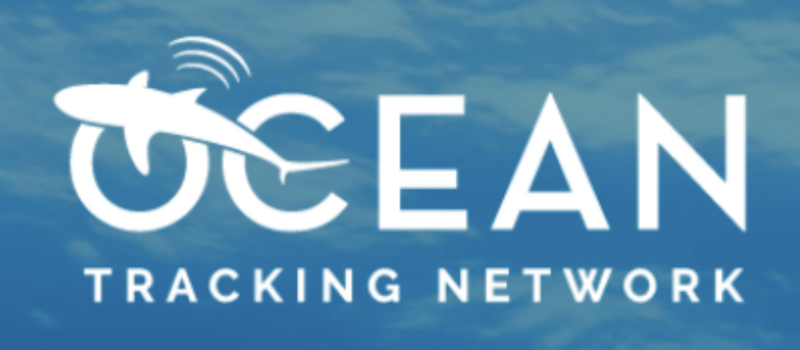 IODE – International Oceanographic Data and Information Exchange